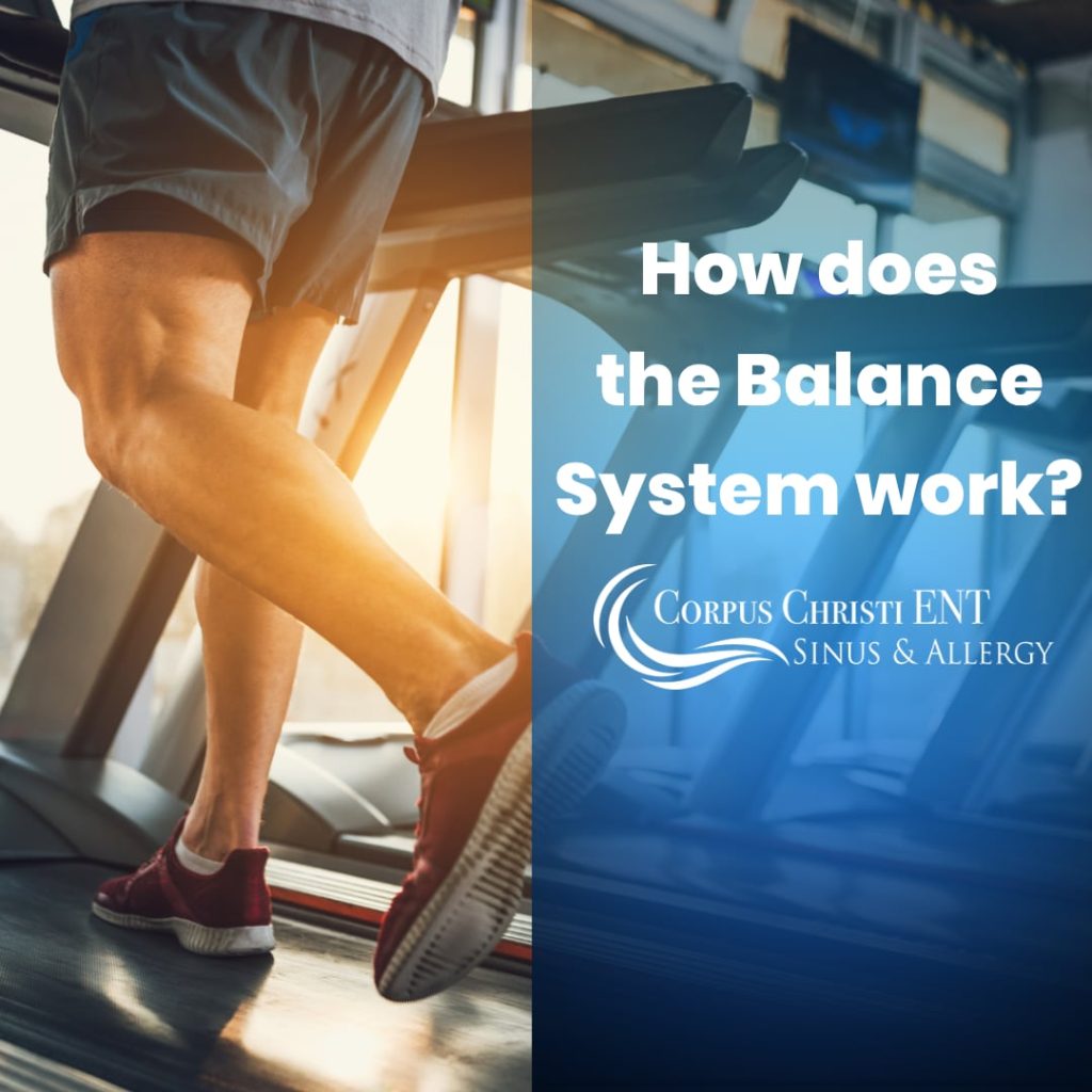 How Does the Balance System Work? – Corpus Christi ENT Sinus & Allergy